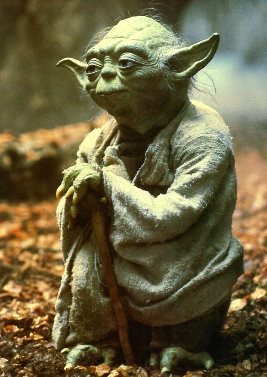 Disciplina – Meditazione a Milano - www.meditazioneamilano.it